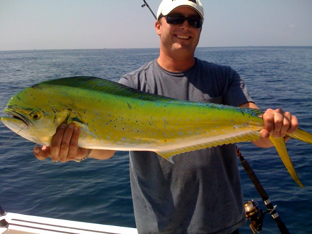 Grilled Dolphin(s)with Mango Salsa & South Florida Succotash – Gourmet ...